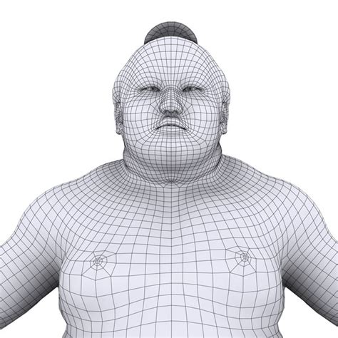 3d Realistic Sumo Model