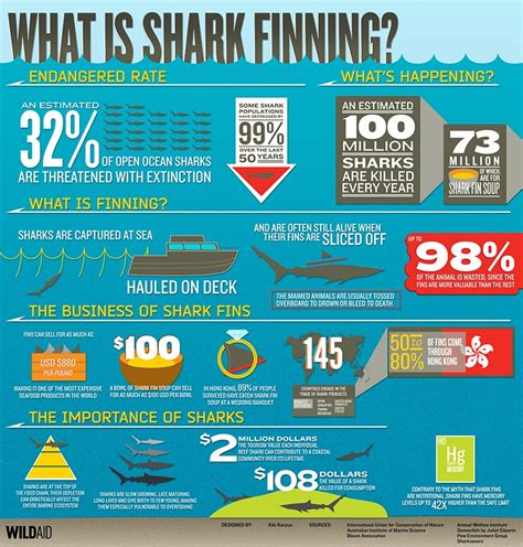 Shark Bycatch Statistics