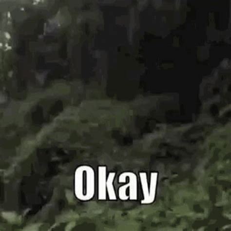 Okay And  Okay And 探索與分享 