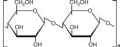 Digestion Absorption And Transport Of Carbohydrates Basicmedical Key