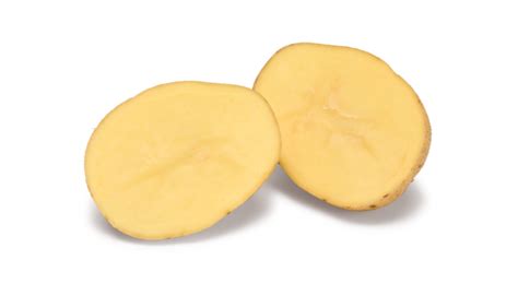 Sinora Variété DesmaziÈres