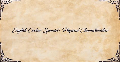 Physical Characteristics Of English Cocker Spaniel