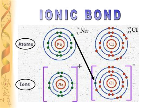 Introduction To Biochemistry Ppt Download