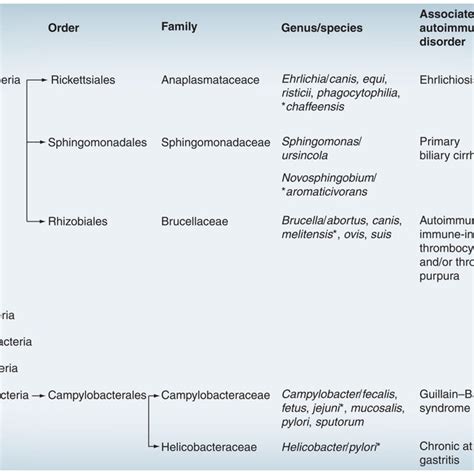 Classification Of Bacterial Classes And Associated Clinical Phenotypes