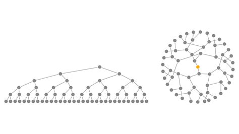 Ogma Examples Layouts Local Radial