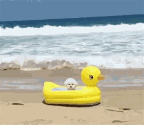 Beach S