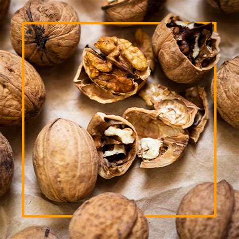 Nuez De Castilla Origen Producción Y Características ⋆ Nota ⋆