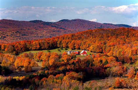 Woodstock Vermont Usa Houses Forests Autumn Grasslands Trees Hd