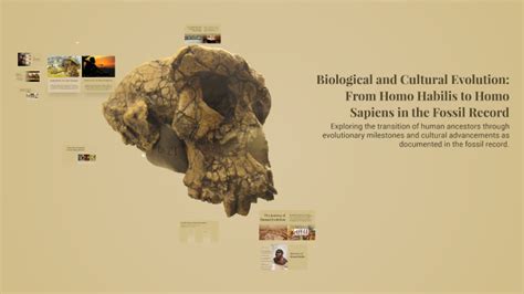 Biological And Cultural Evolution From Homo Habilis To Homo Sapiens In