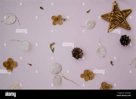 Flat Lay Rustic Creative Natural Layout Of Winter Plants Parts On Rose