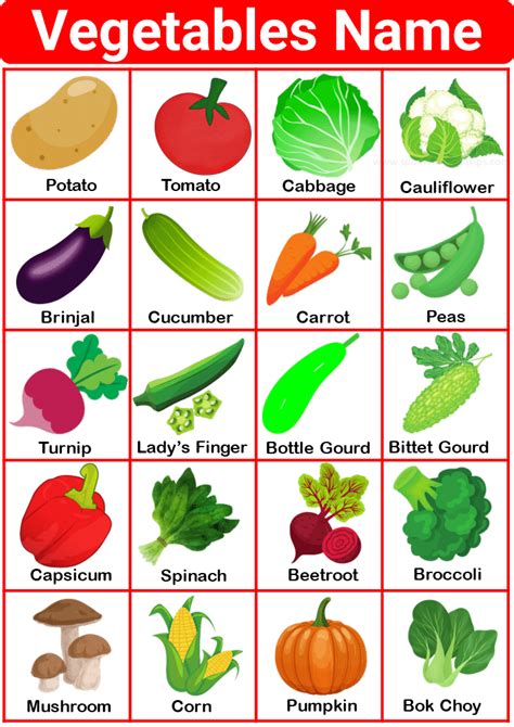 List Of Vegetables With Pictures And Names