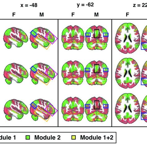 Sex Differences Across Three Age Groups Visualized At Pace Level 1