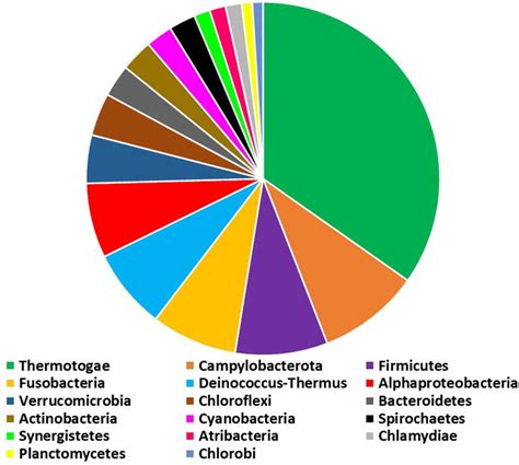 Thermophilic Bacteria Examples
