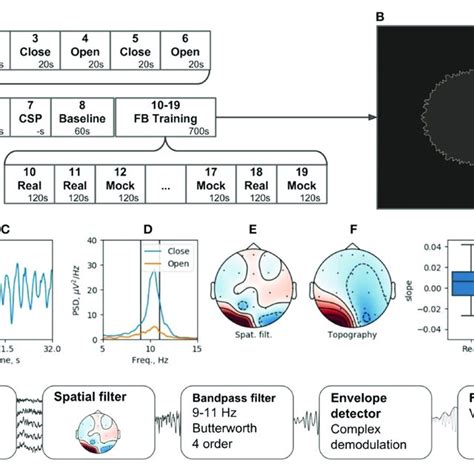 Neurofeedback Training Experiment Example A Experimental Protocol Download Scientific