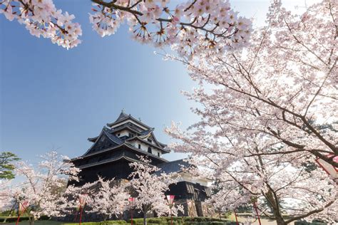 Matsue Castle In Spring Shimane Prefecture Japan アトムの広場