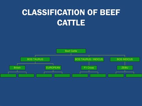 Ppt Introduction To Beef Powerpoint Presentation Free Download Id