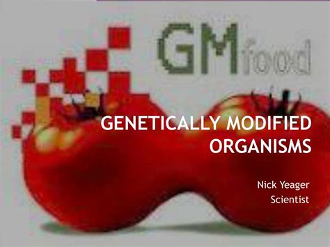 Ppt Genetically Modified Organisms Powerpoint Presentation Free