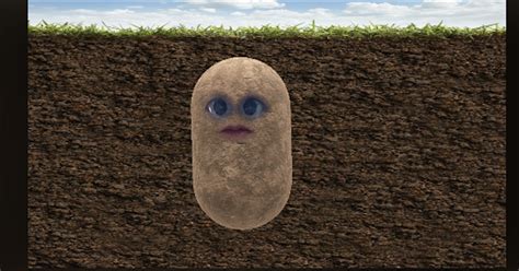 Heres How To Get The Potato Filter On Zoom To Animate Your Next Call