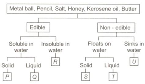 The Given Flow Chart Was Prepared By Natasha For Sorting Materials Into