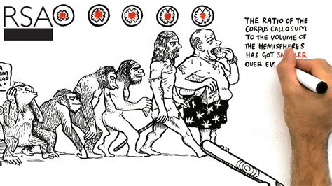 The Divided Brain A Fascinating Rsa Animation About The Brain