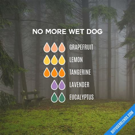 No More Wet Dog — Essential Oil Diffuser Blend Essential Oil Diffuser