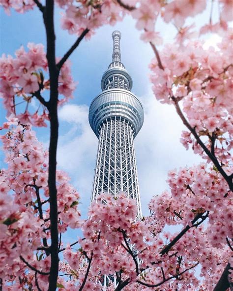 Visit Japan Tokyo Skytree Is Not Only The Tallest Tower In Japan Its