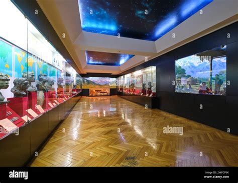 A Gallery Featuring Stone Age Cave Man Evolution Progress With Various