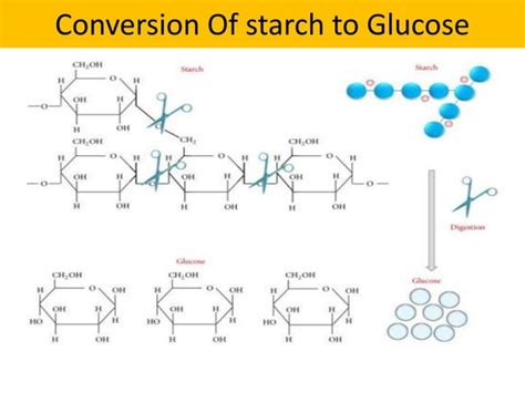 Presentation On Grain And Molasses Fermentation Pptx Desserts And