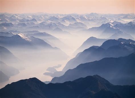 Quifenmote Can Flector Patch Get You High