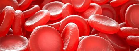 How Does Leukemia Kill Symptoms Signs And Treatment