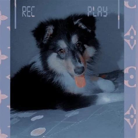 Liana Ac Lixnxach • Threads Say More