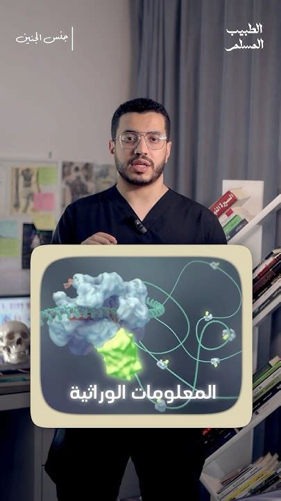 جنسالجنينتحديدجنسالمولودنوعالجنينالطبيبالمسلمطبيب Educationاكسبلورطب ثانويةعامة