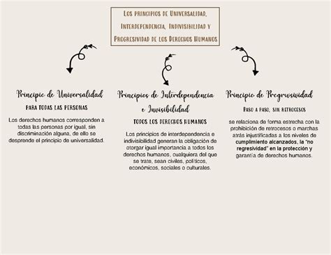 Principios De Universalidad Interdependencia Indivisibilidad Y Progresividad Todos Los