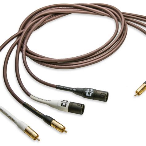 Analysis Plus — Chocolate Oval In Distinctive Stereo