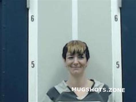 April Blansit 02 07 2025 Dekalb County Mugshots Zone