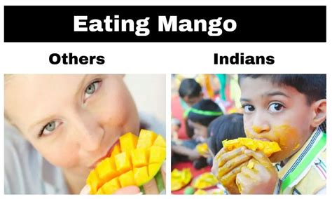 Funny Mango Memes Videos And S Humornama