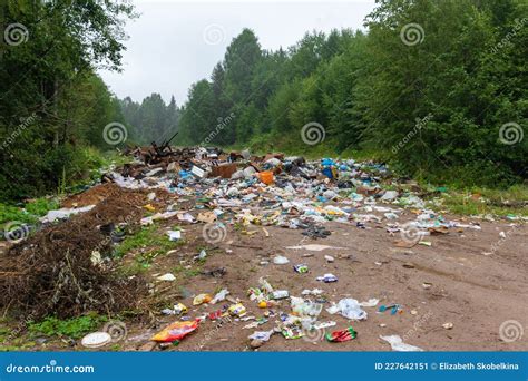 A Big Dump In The Middle Of The Forest Stock Image Image Of Landfill Danger 227642151