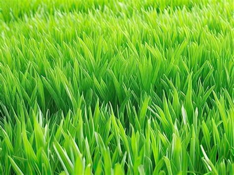 Premium Ai Image Background Photo Of Beautiful Green Grass