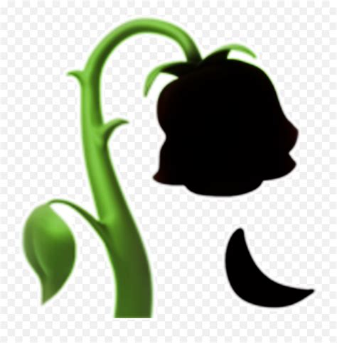 Dead Rose Emoji Urban Dictionary At Edward Oneal Blog