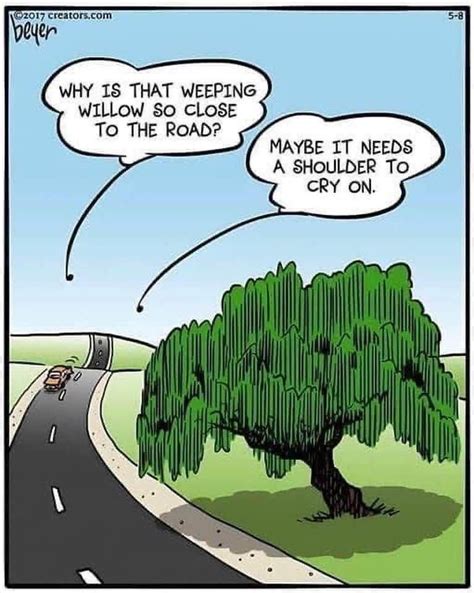 Funny Quotes About Road Funny Memes About Roads Fork In The Road