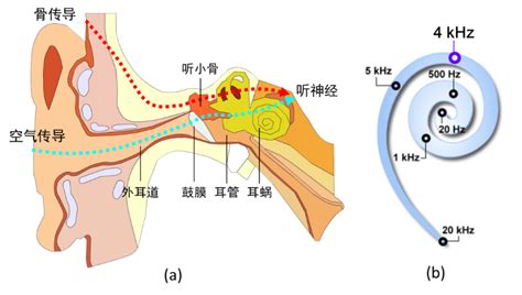 中国医学影像技术研究会