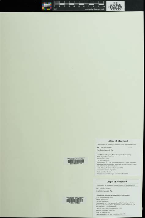 Algae Herbarium Portal Occurrence Profile