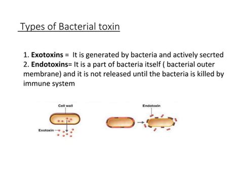 Bacterial Toxins Pptx Chemistry Science