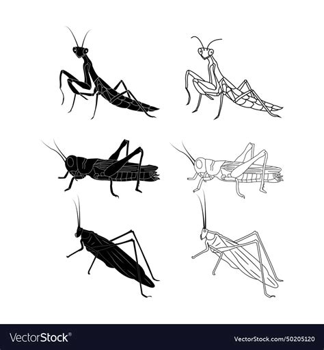 Grasshopper Icon Royalty Free Vector Image Vectorstock