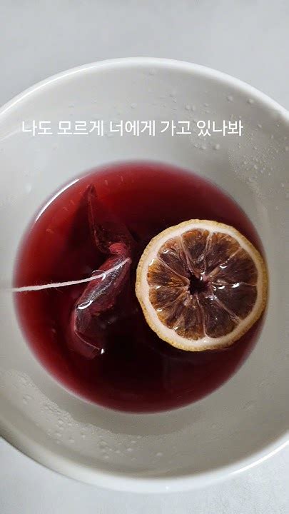 히비스커스 티 Youtube