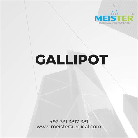 Gallipot Uses Types And Importance In Medical Procedures Meister Surgical
