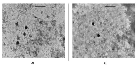 tem micrograph of 8 mop loaded sln trc 0 a and sln trc 2 b