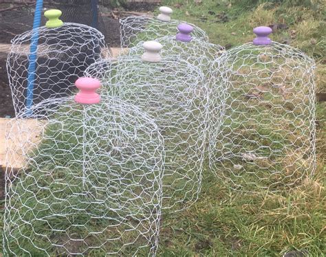 Wire Cages For Plants Plant Ideas