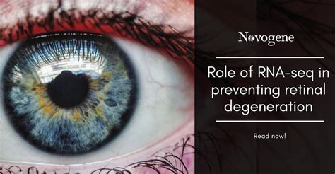 Rna Seq A Groundbreaking Tool To Preventing Progressive Blindness Due To Retinal Degeneration