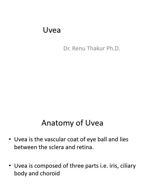 Uvea Pdf Arthritis Corticosteroid